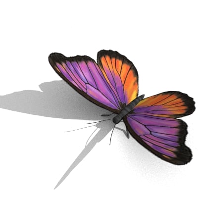 butterfly obj