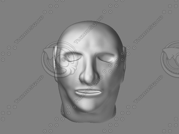 head 3d obj