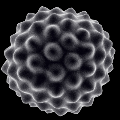 3d model microscopic pollen