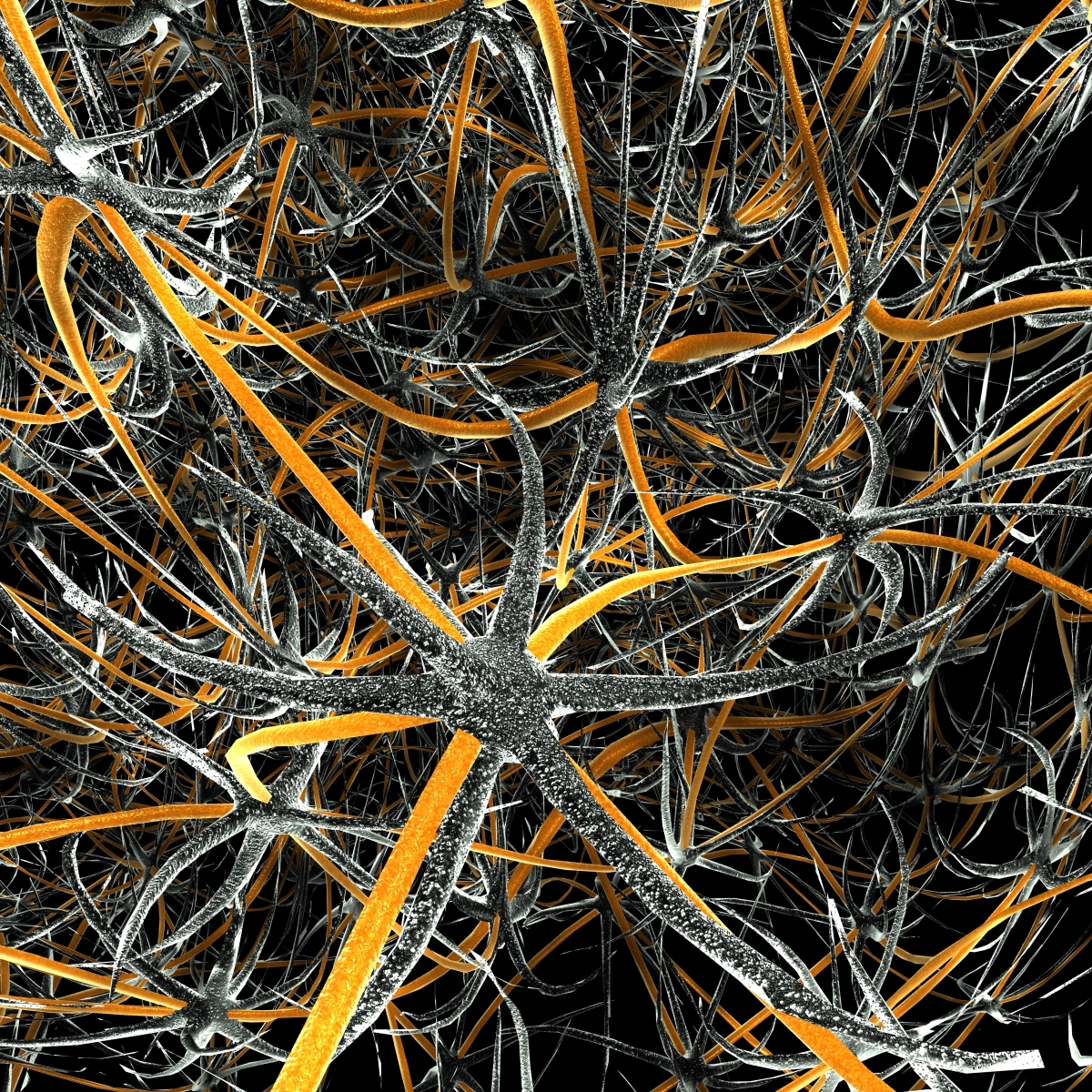 neural network 3ds