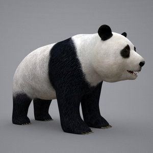 3D Panda Models | TurboSquid