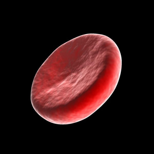 red blood cell 2 3d model