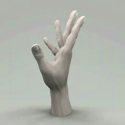 human hand 3d model