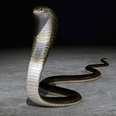 cobra king animation 3d model