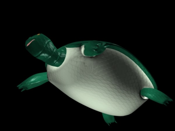 eastern box turtle 3d model