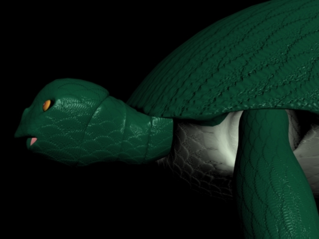 eastern box turtle 3d model