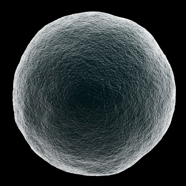 ovum electron microscope 3d max