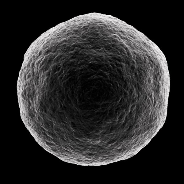 ovum electron microscope 3d max