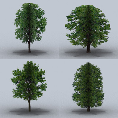 large trees 3d model