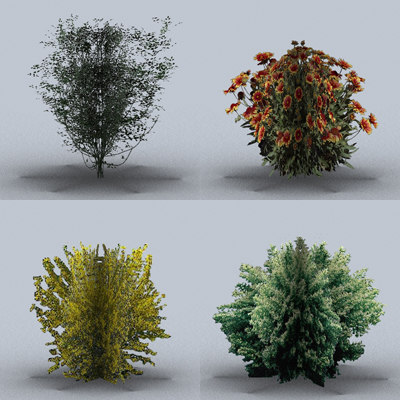 tree bush 3d model