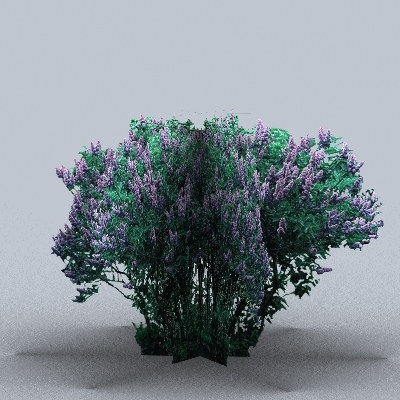 tree bush 3d model
