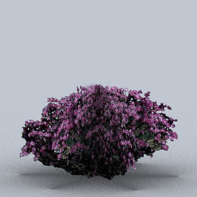 tree bush 3d model