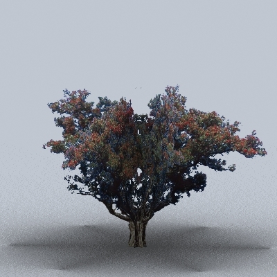 tree bush 3d model
