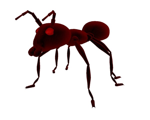 3d red ant model