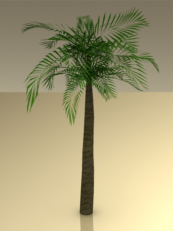 palm tree 3d max