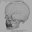 human skull 3d model