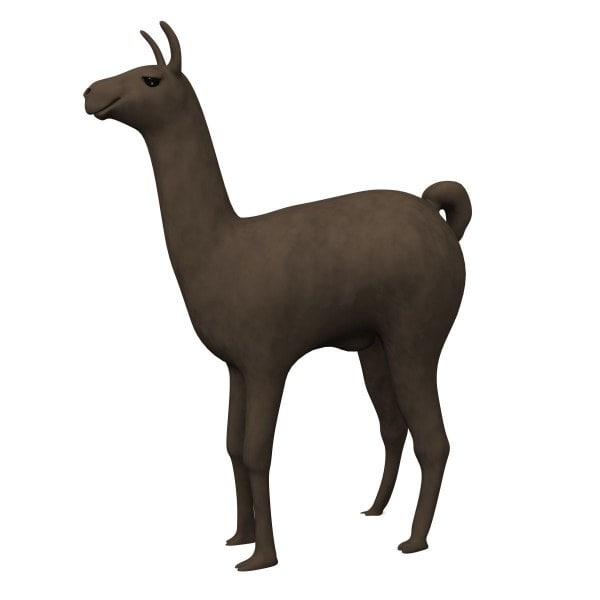 lama 3d model