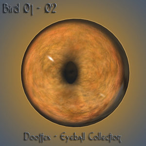 Eyes 3D Models for Download | TurboSquid