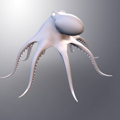 octopus 3d model