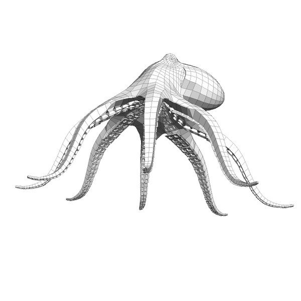 octopus 3d model