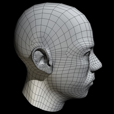 maya male human head malehead