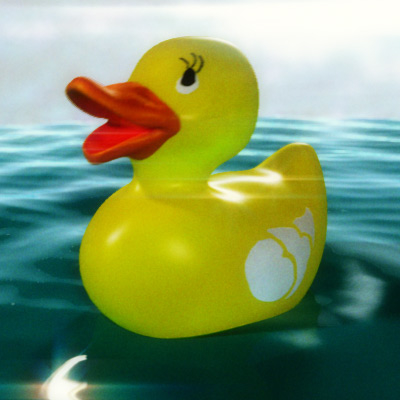 cute rubber duck 3d model