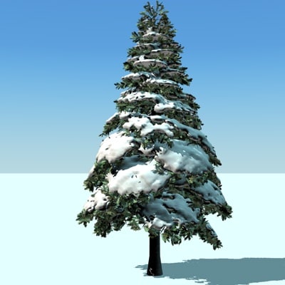 3d snow pine