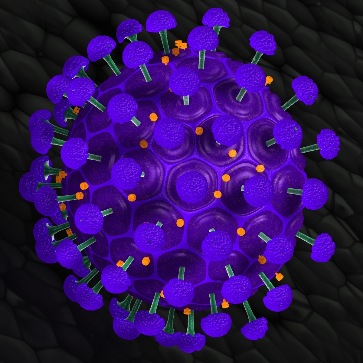3d model virus structure
