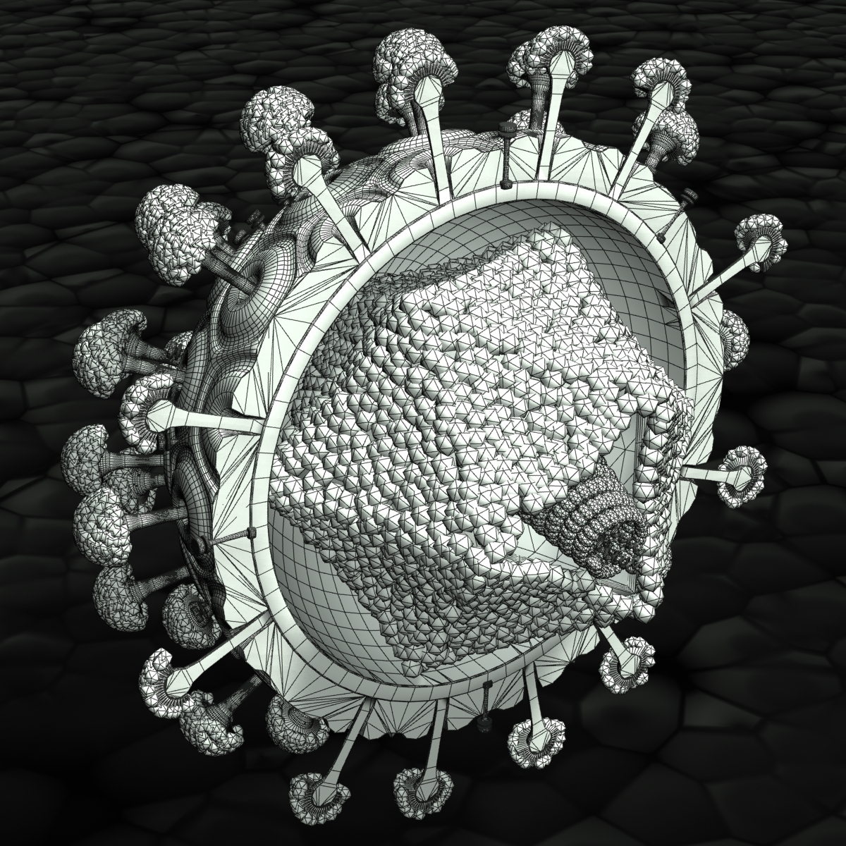 3d model virus structure