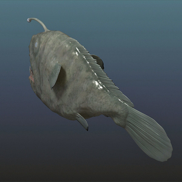 3d angler fish model