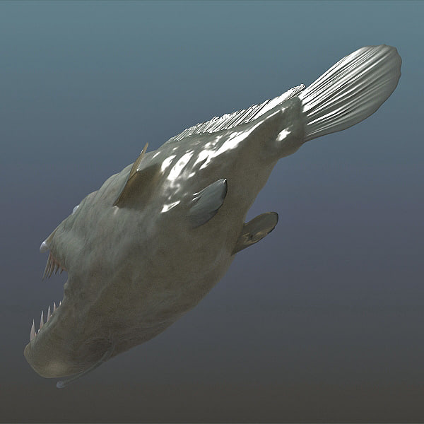 3d angler fish model