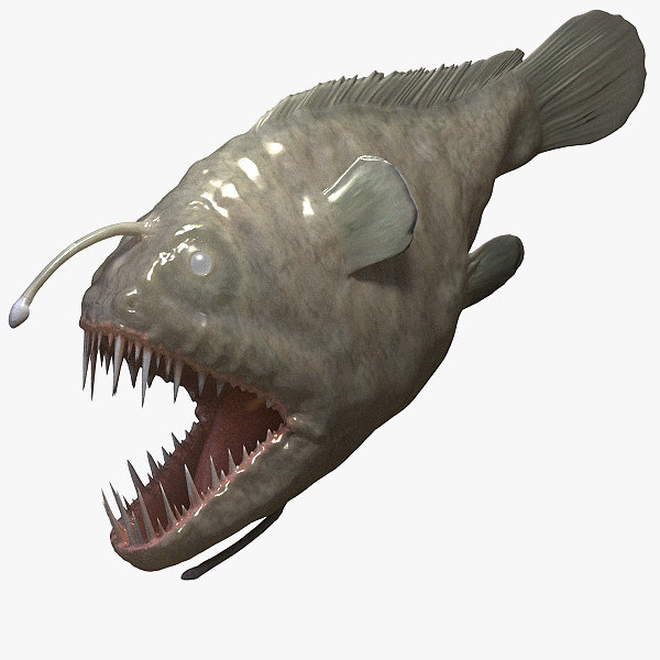 3d angler fish model
