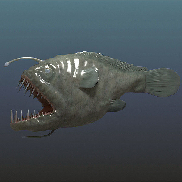 3d angler fish model