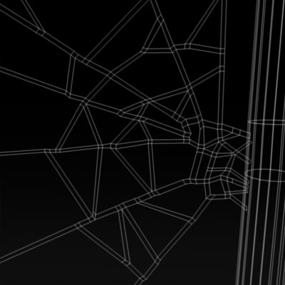 cobweb spider web 3d dxf