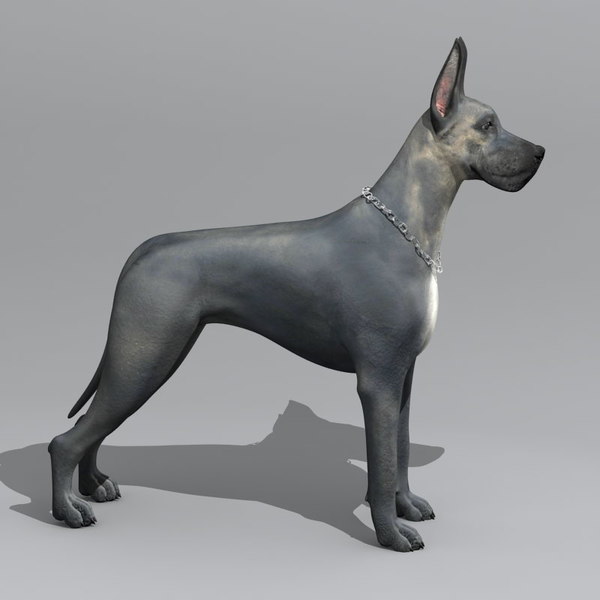 3d great dane model