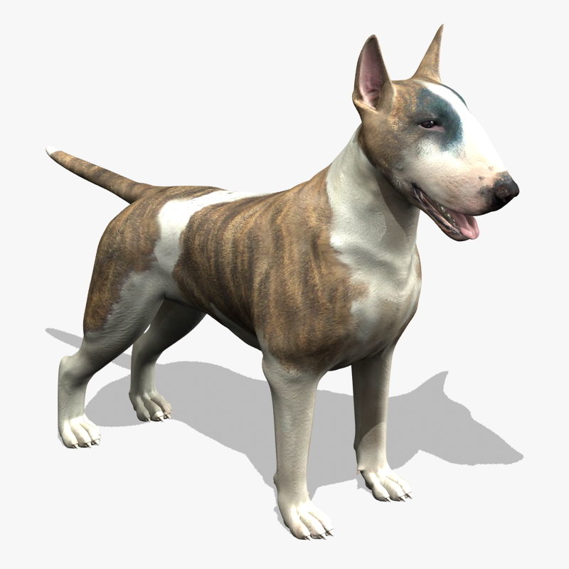 斗牛犬3D模型 - TurboSquid 329202