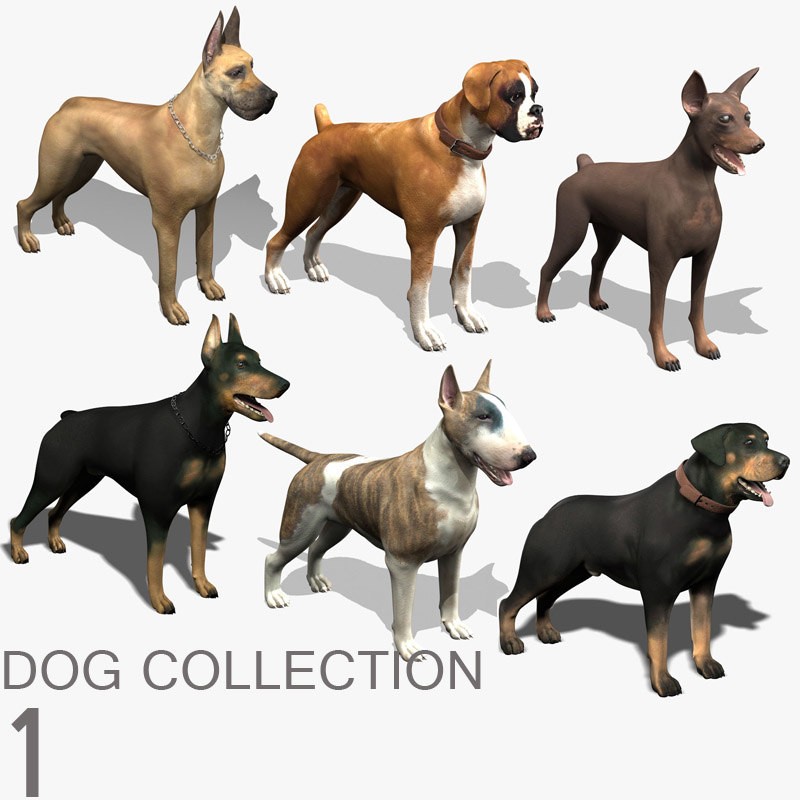 3d dog 1 model