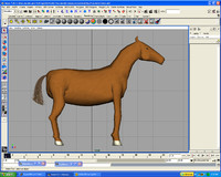 Free 3D Monkey Models | TurboSquid