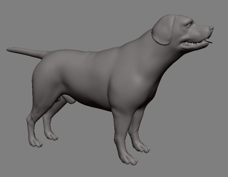 labrador dog animation obj