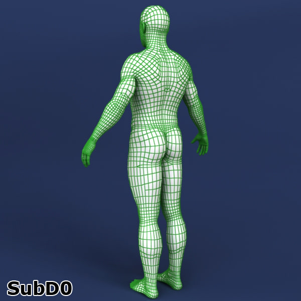 polygonal male body character 3d model