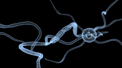 neuron cell dendrites biomedical 3d model