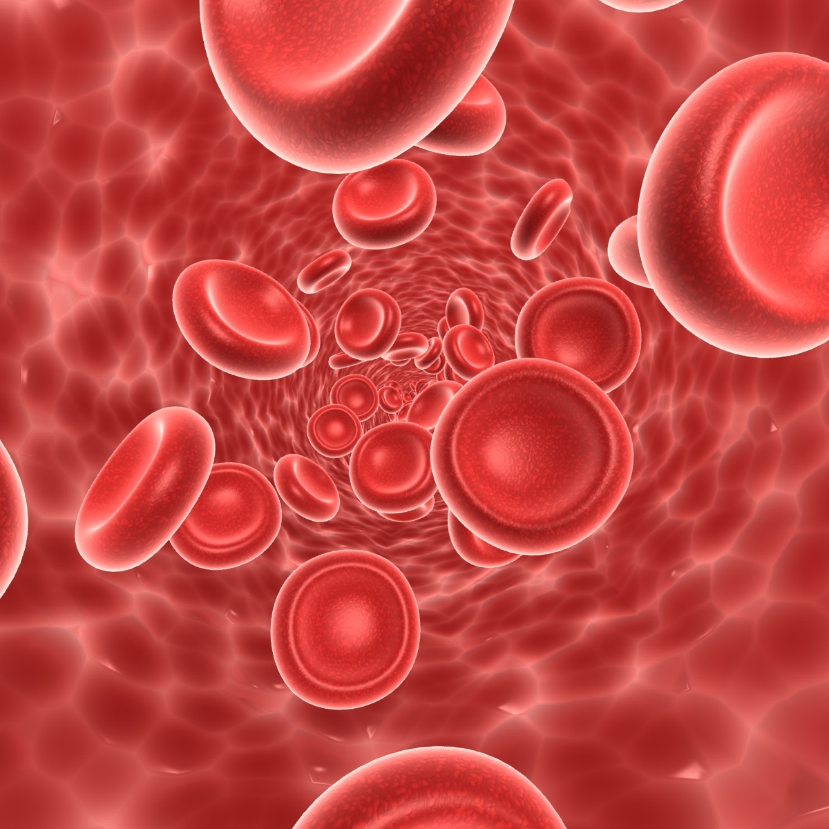 blood cells 3d 3ds