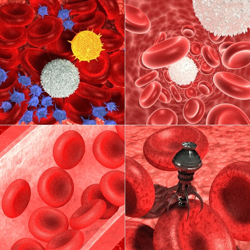 blood cells 3d 3ds