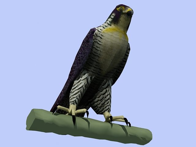 peregrin falcon obj