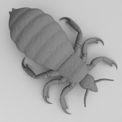 3d human hair louse model