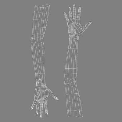 female hand arm 3d model