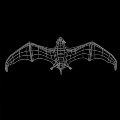 bat animal 3d model
