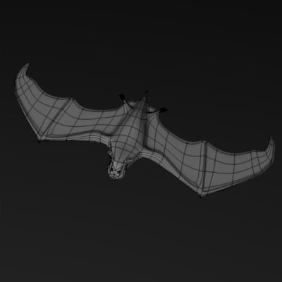 bat animal 3d model