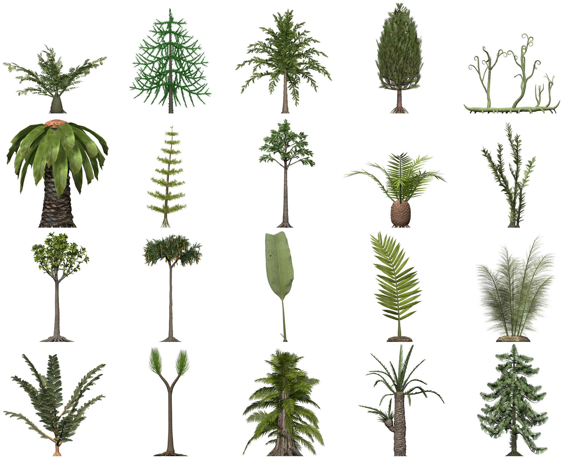 prehistoric trees plants xfrogplants obj