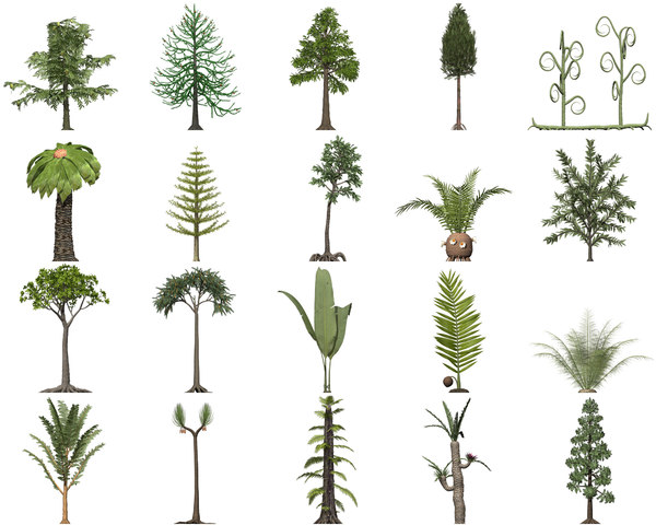 prehistoric trees plants xfrogplants obj